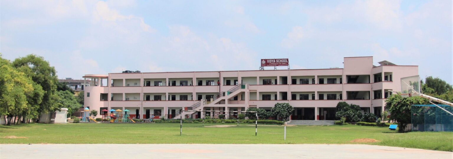 About Vidya School